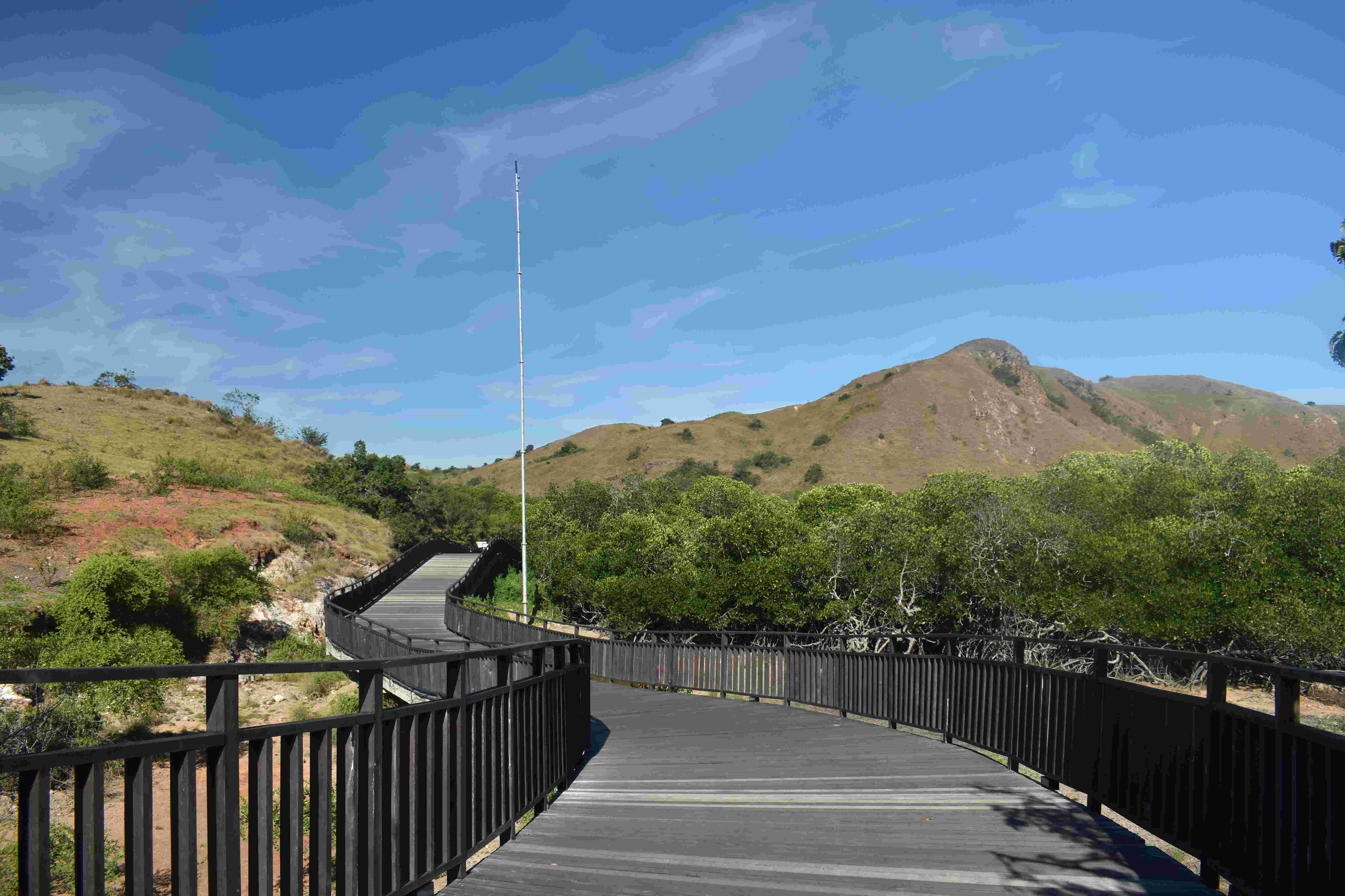 Rinca Island Tour Pictures | Komodo Island Tour Package
